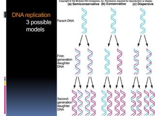 DNA REPLICATION AND REPAIR | PPTX