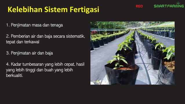 Kaedah Fertigasi Moden daripada MDec Redtone | PPT
