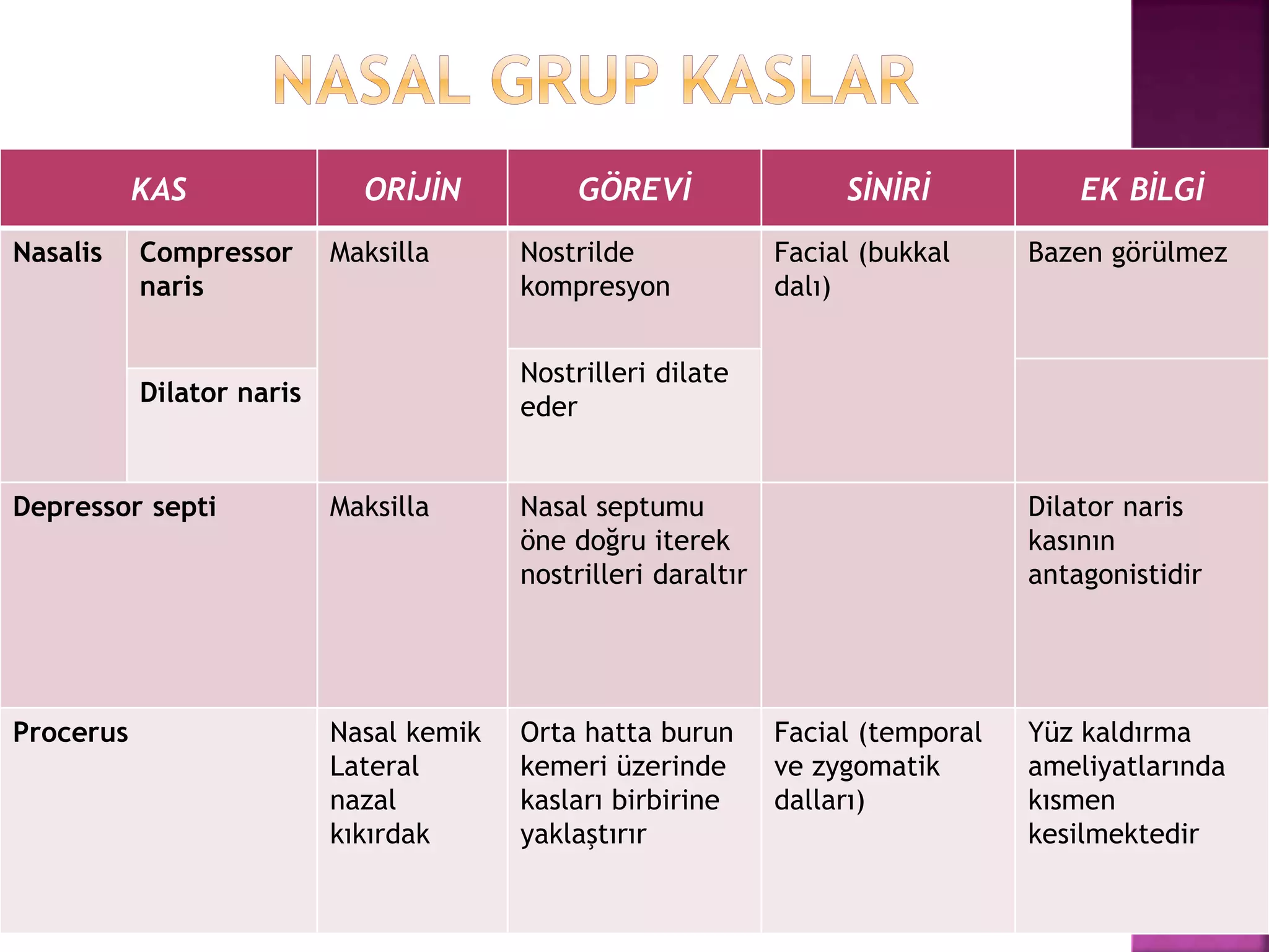 Kafa deri̇si̇ ve yüz mi̇mi̇k kaslari | PPTX