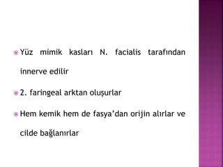 Kafa deri̇si̇ ve yüz mi̇mi̇k kaslari | PPTX