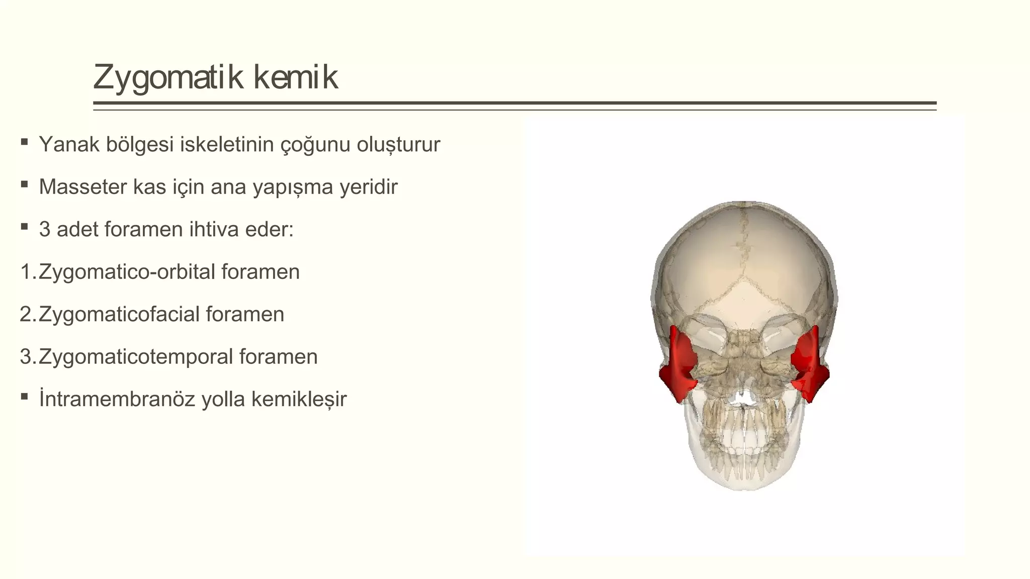 Kafatasi kemi̇kleri̇ | PPT