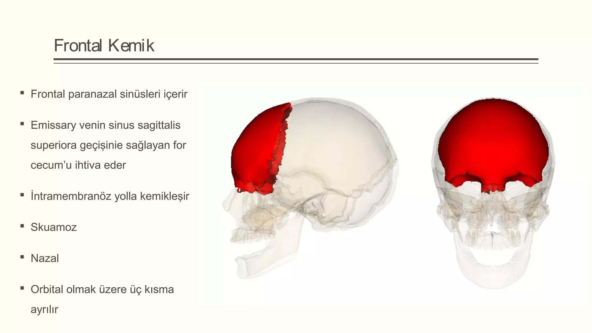 Kafatasi kemi̇kleri̇ | PPT