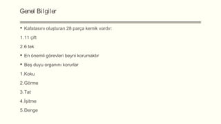 Kafatasi kemi̇kleri̇ | PPT