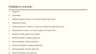Kafatasi kemi̇kleri̇ | PPT