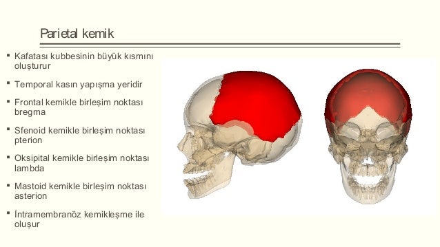 Kafatasi kemi̇kleri̇