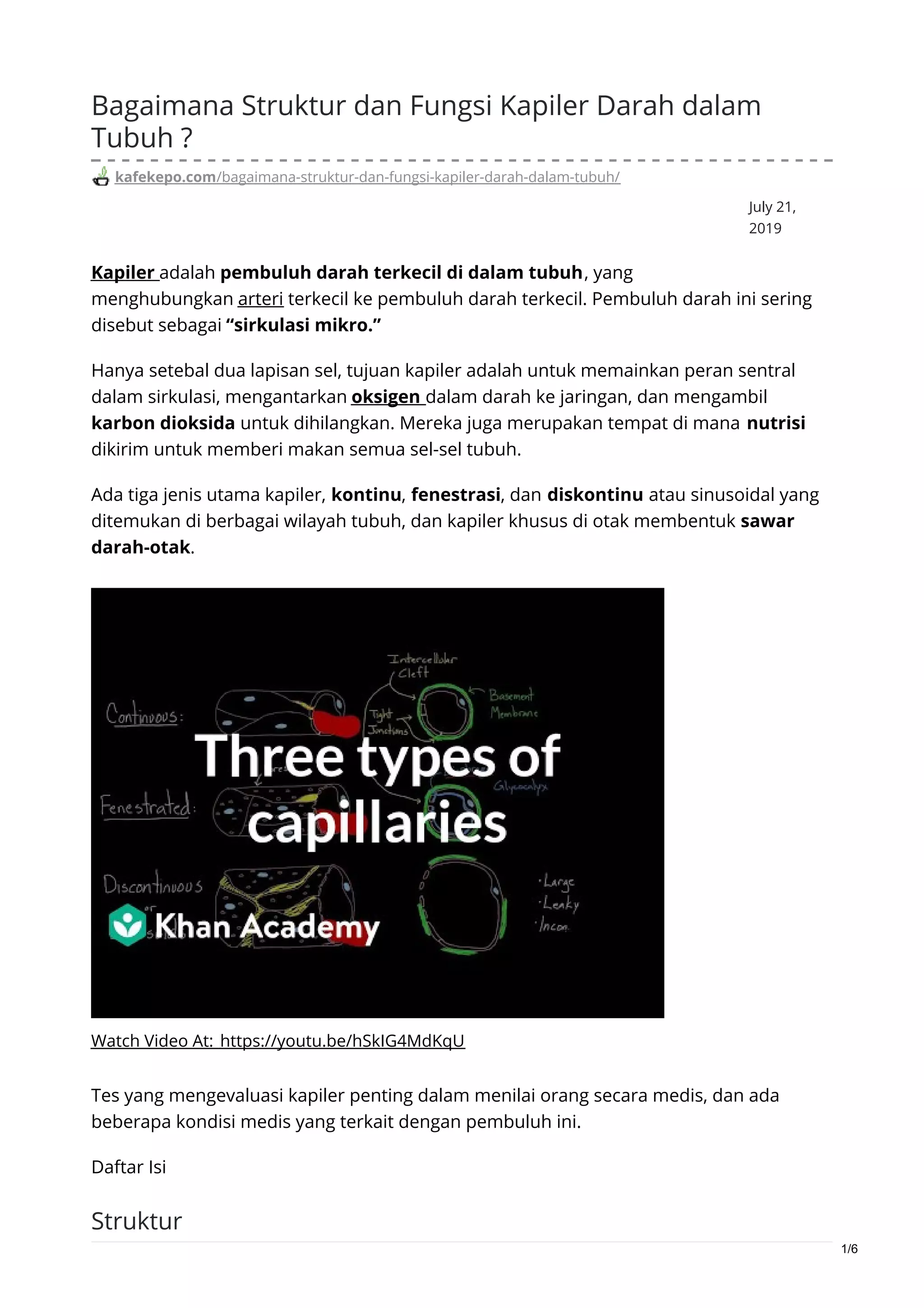 Bagaimana struktur dan fungsi kapiler darah dalam tubuh ? | PDF