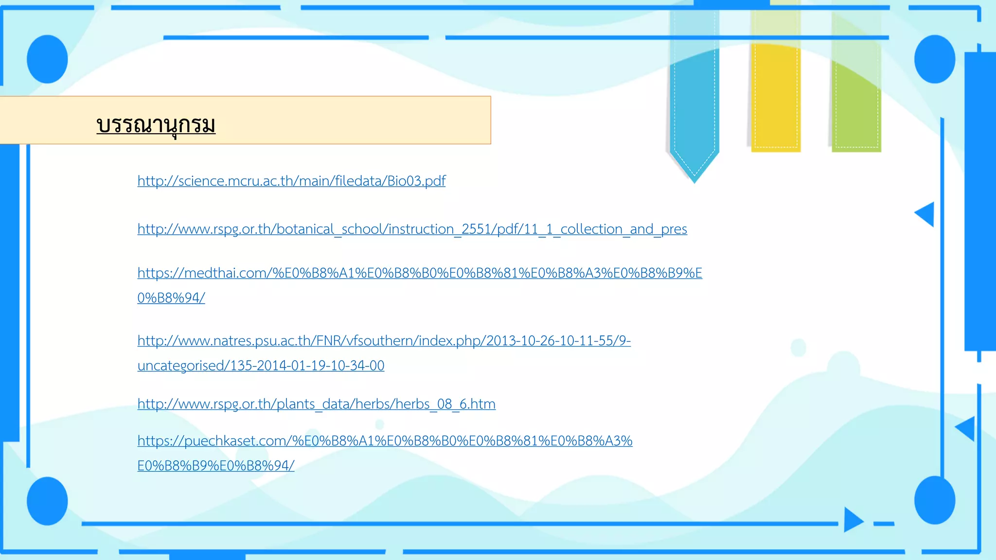 Kaffir lime 9_341 | PPT