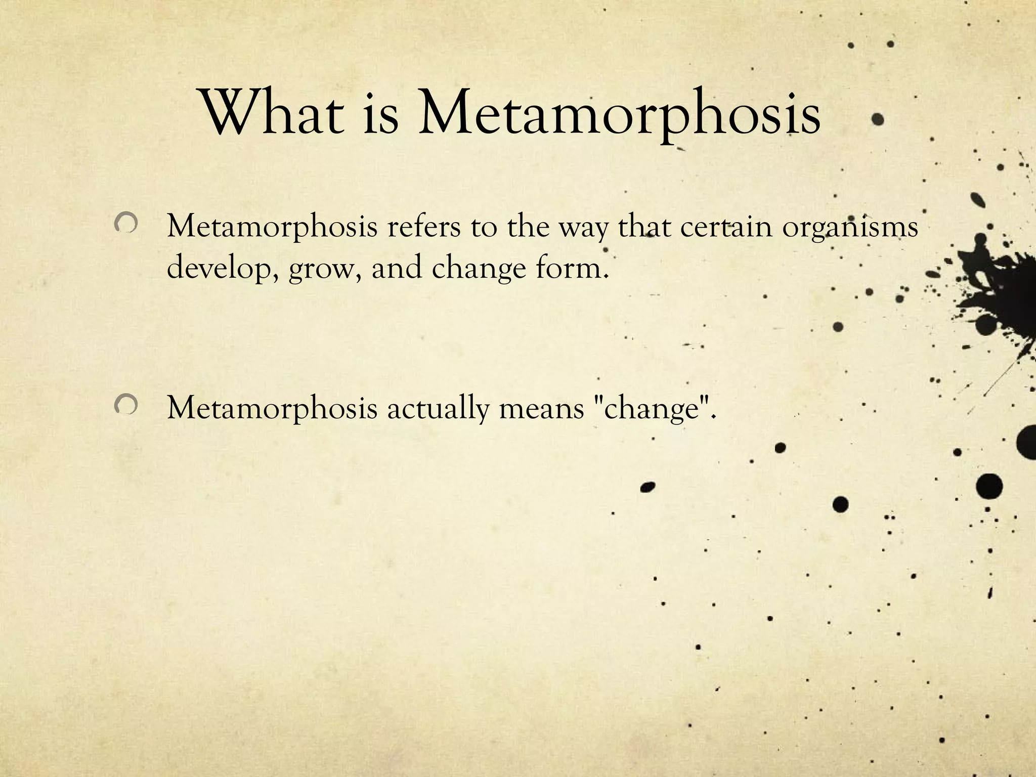 metamorphosis Kafka presentation | PPT