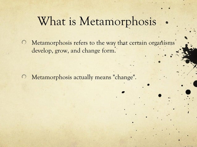 metamorphosis Kafka presentation | PPT
