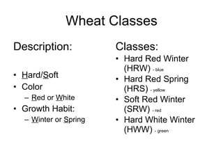 KA Flour Milling Presentation | PPT