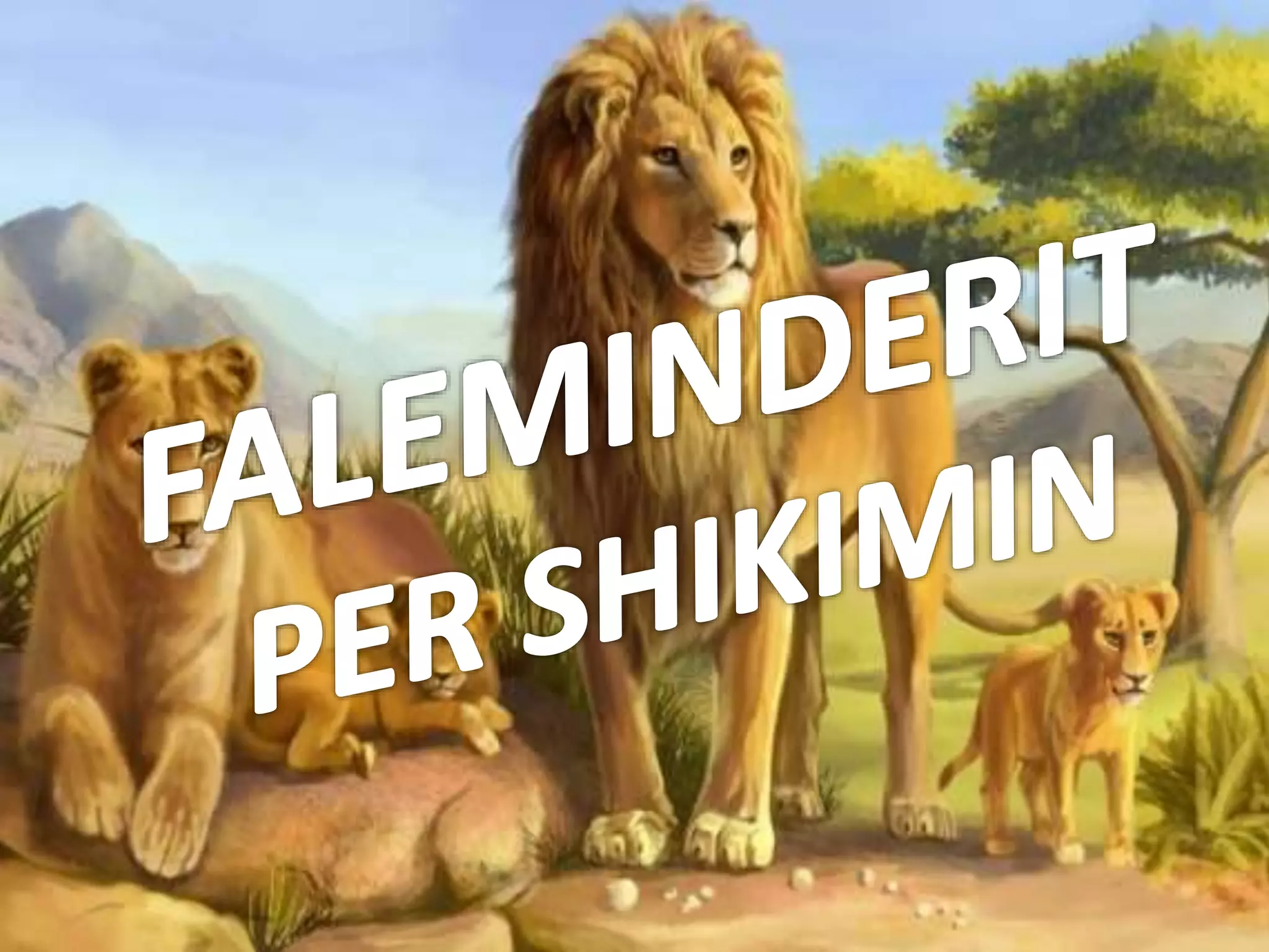 Kafsha ime e preferuar | PPSX