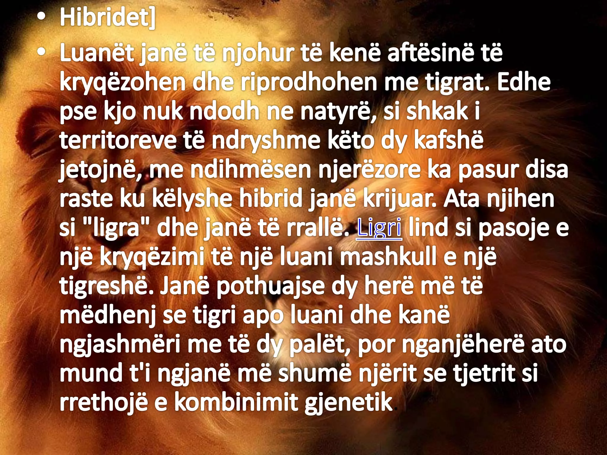 Kafsha ime e preferuar | PPSX