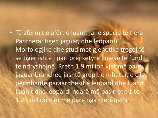 Kafsha ime e preferuar | PPSX