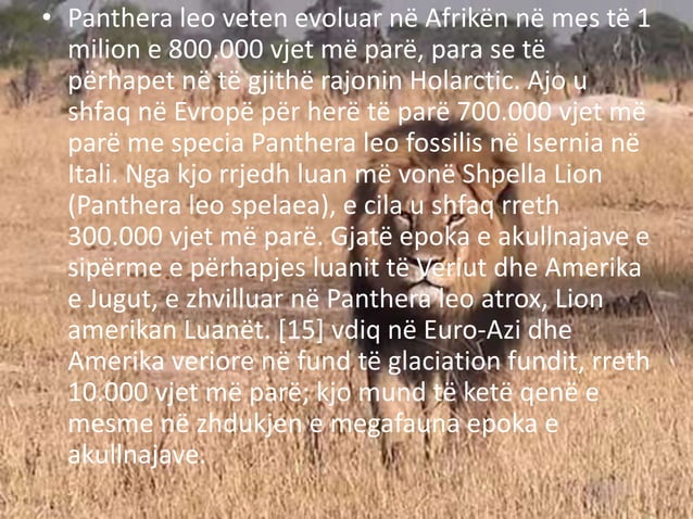 Kafsha ime e preferuar | PPSX