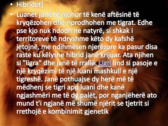 Kafsha ime e preferuar | PPSX
