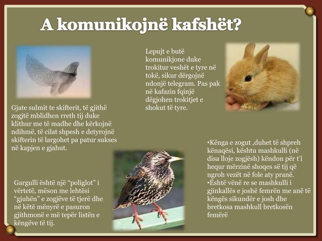 Sjellja e kafsheve | PPTX