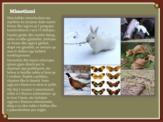 Sjellja e kafsheve | PPTX