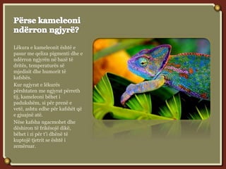 Sjellja e kafsheve | PPTX