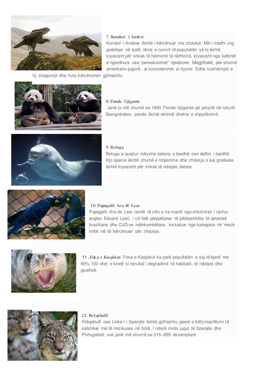 Kafshet ne rrezik zhdukje