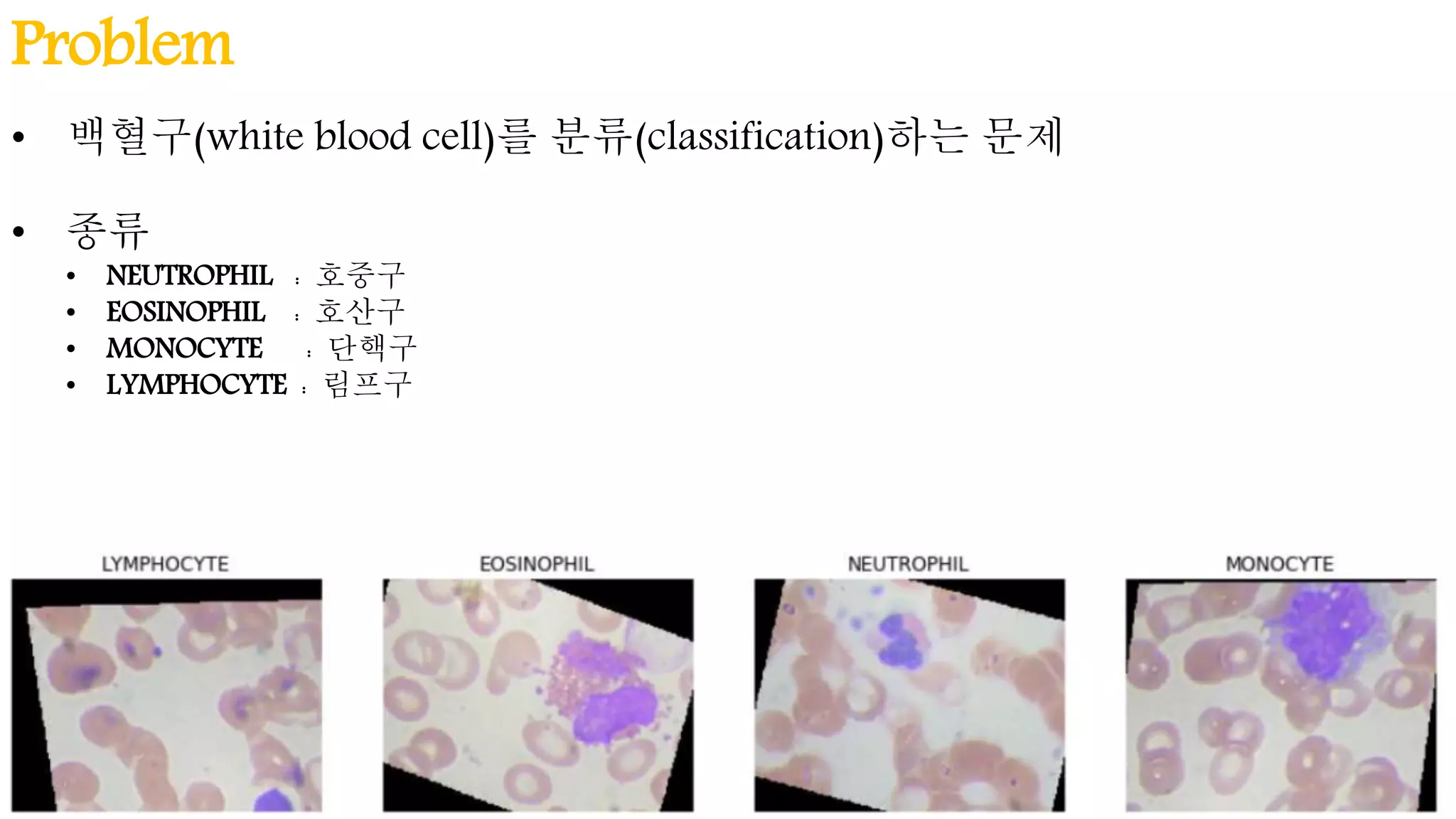 white blood cell classification | PPT