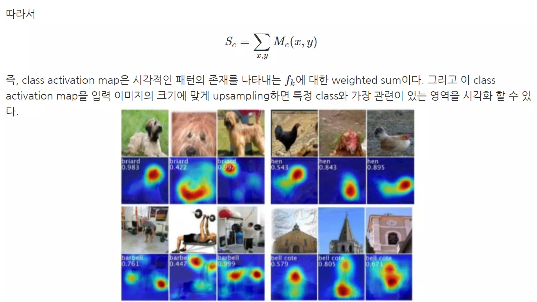 white blood cell classification | PPT