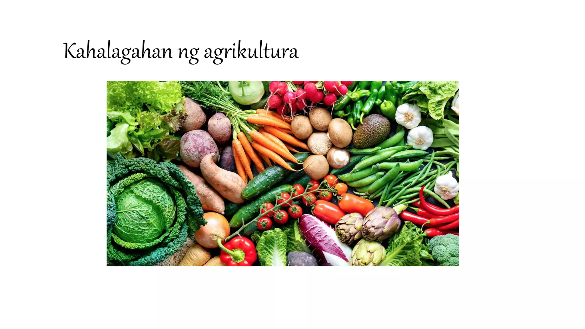kahalagahan ng agrikultura.pptx