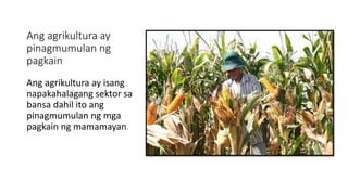 kahalagahan ng agrikultura.pptx