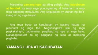 Kahalagahan ng kalikasan | PPTX