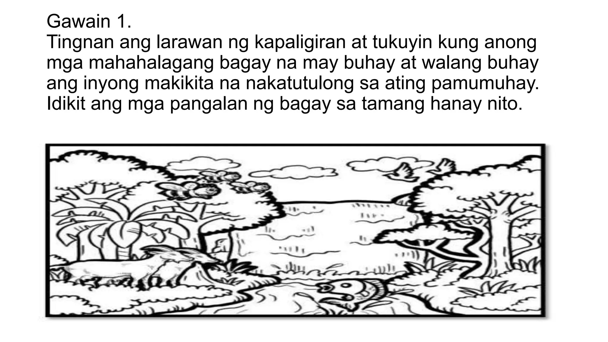 KAHALAGAHAN NG KAPALIGIRAN SA TAO AT SA IBA PANG BAGAY NA MAY BUHAY.pptx