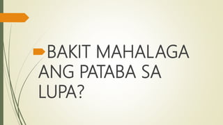 Kahalagan ng paggawa ng organikong pataba | PPTX