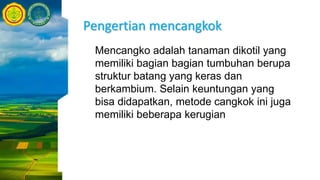 Kaharudin ariga | PPTX