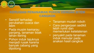 Kaharudin ariga | PPTX