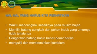 Kaharudin ariga | PPTX