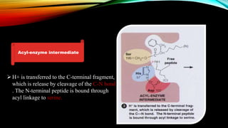 kahial pbl data.pptx