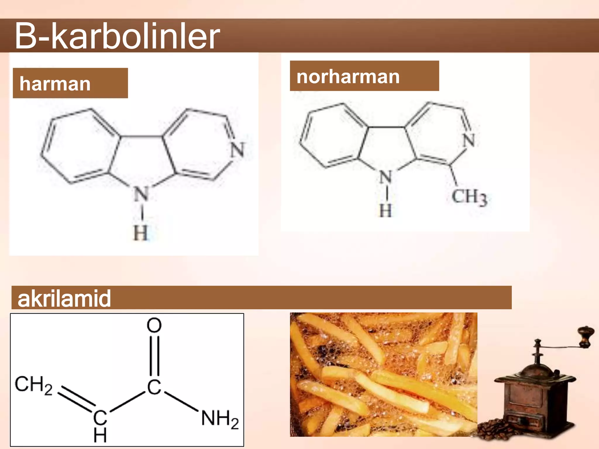Kahve bileşenleri coffee constituents | PPTX