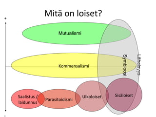 Kaiken takana on loinen | PPT