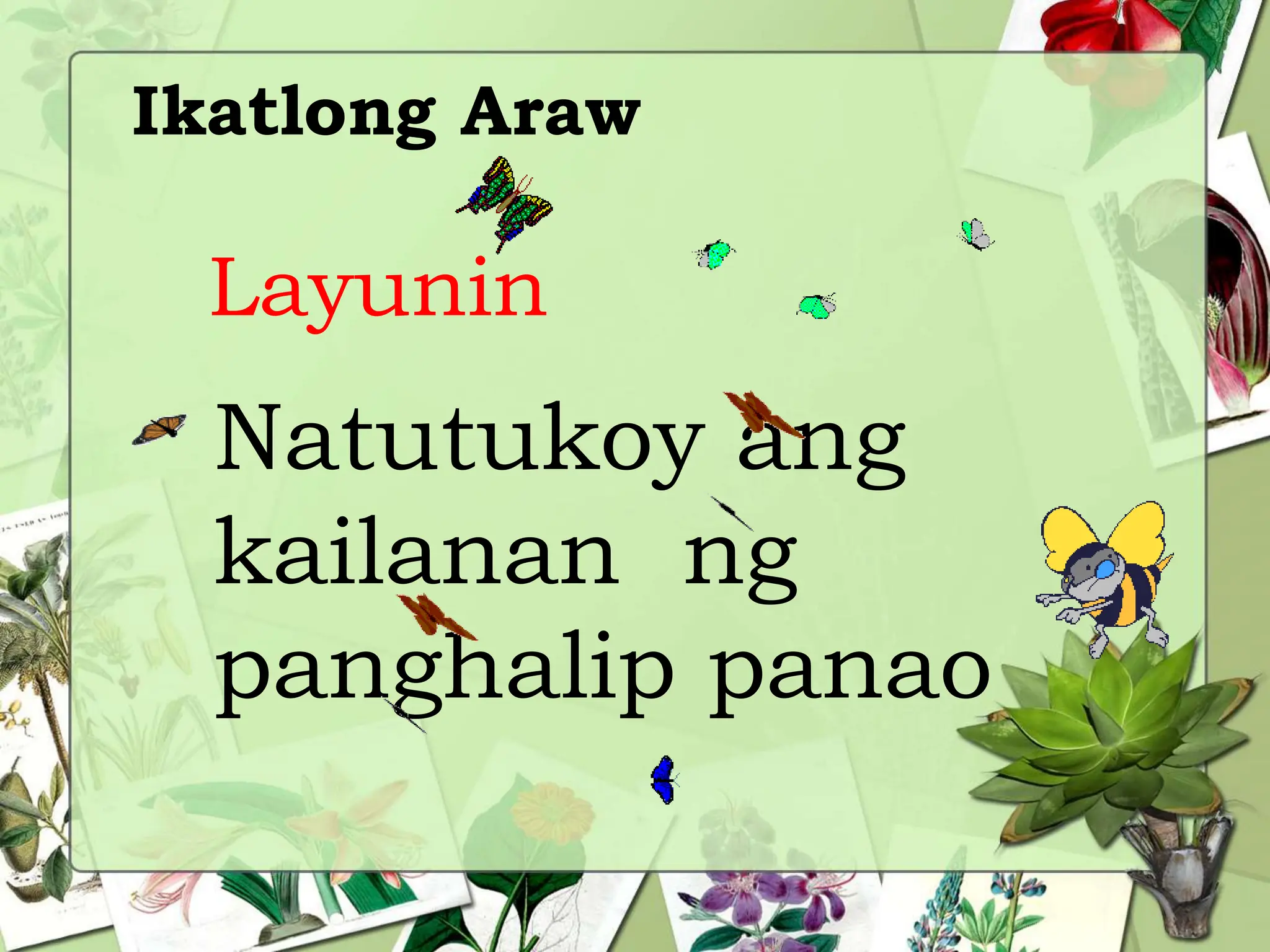Kailanan ng Panghalip Panao FILIPINO.pptx