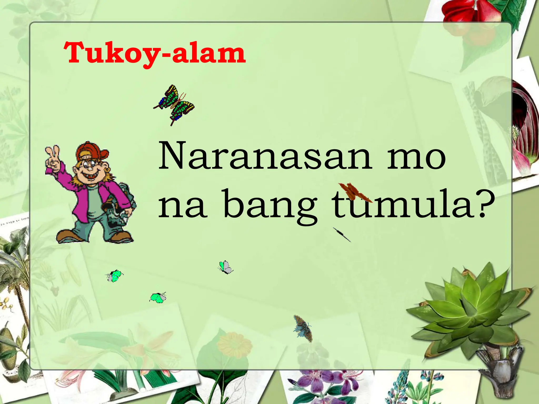 Kailanan ng Panghalip Panao FILIPINO.pptx