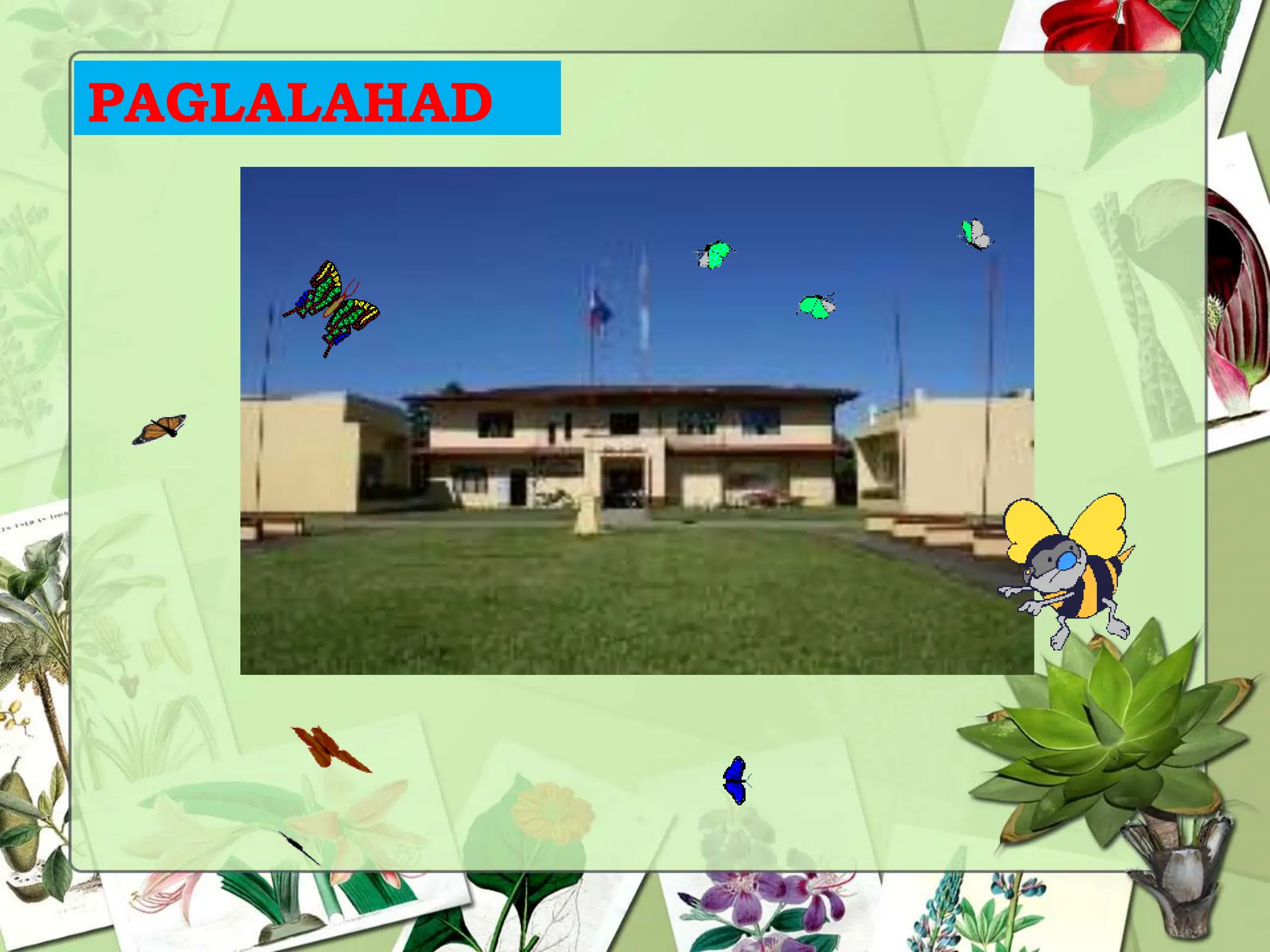 Kailanan ng Panghalip Panao FILIPINO.pptx