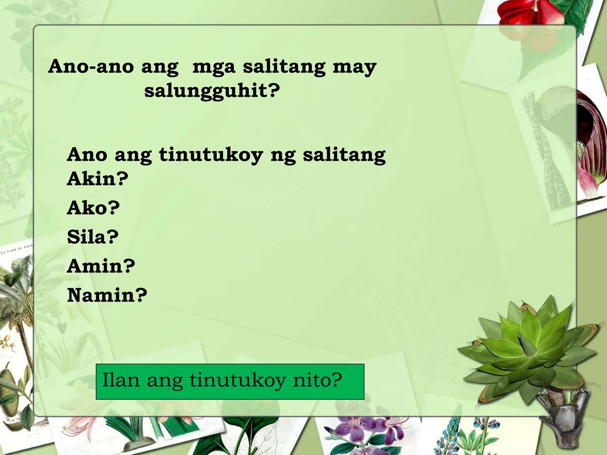 Kailanan ng Panghalip Panao FILIPINO.pptx