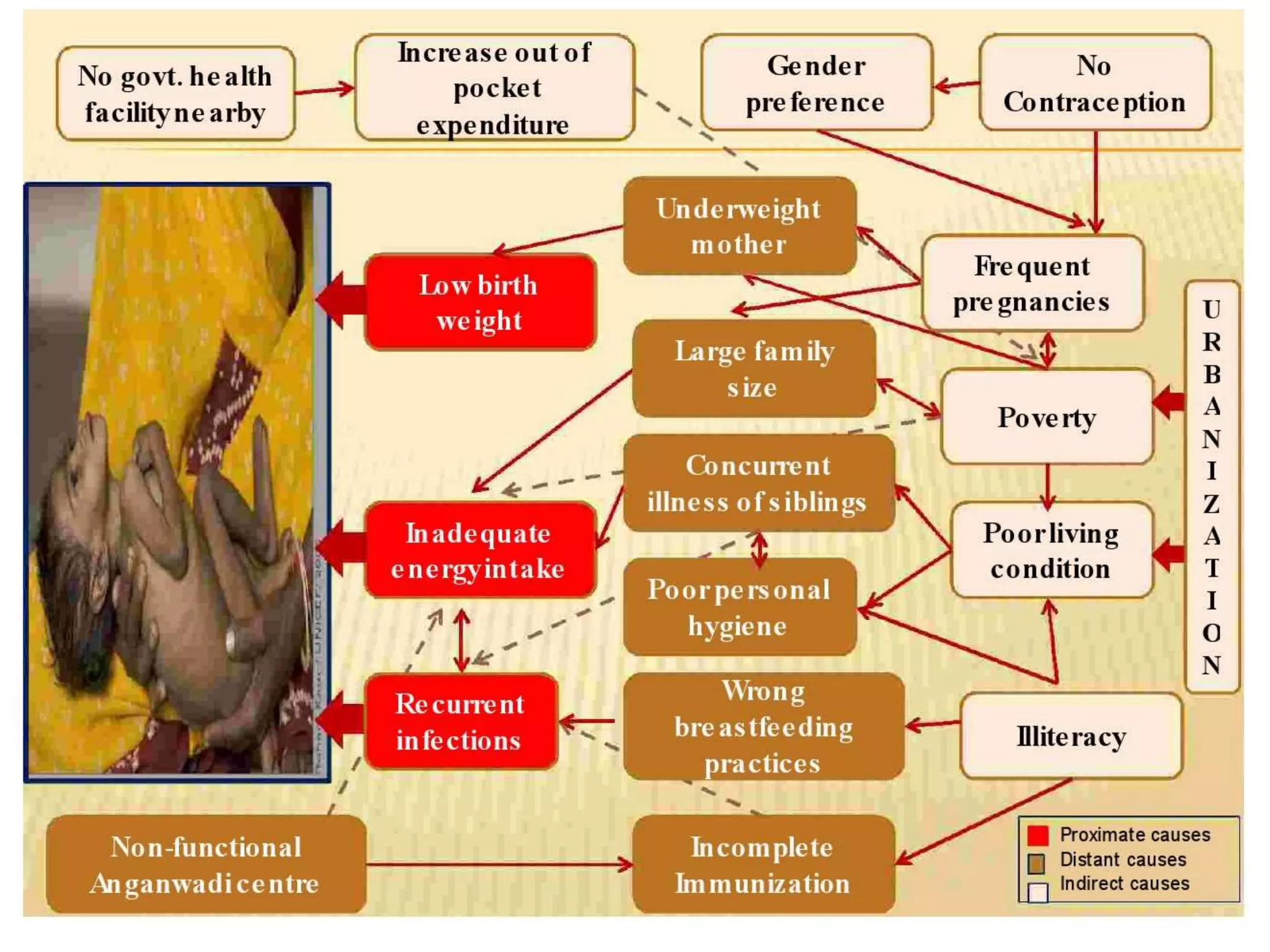 Malnutrition (Nutritional Health Problems) | PPTX