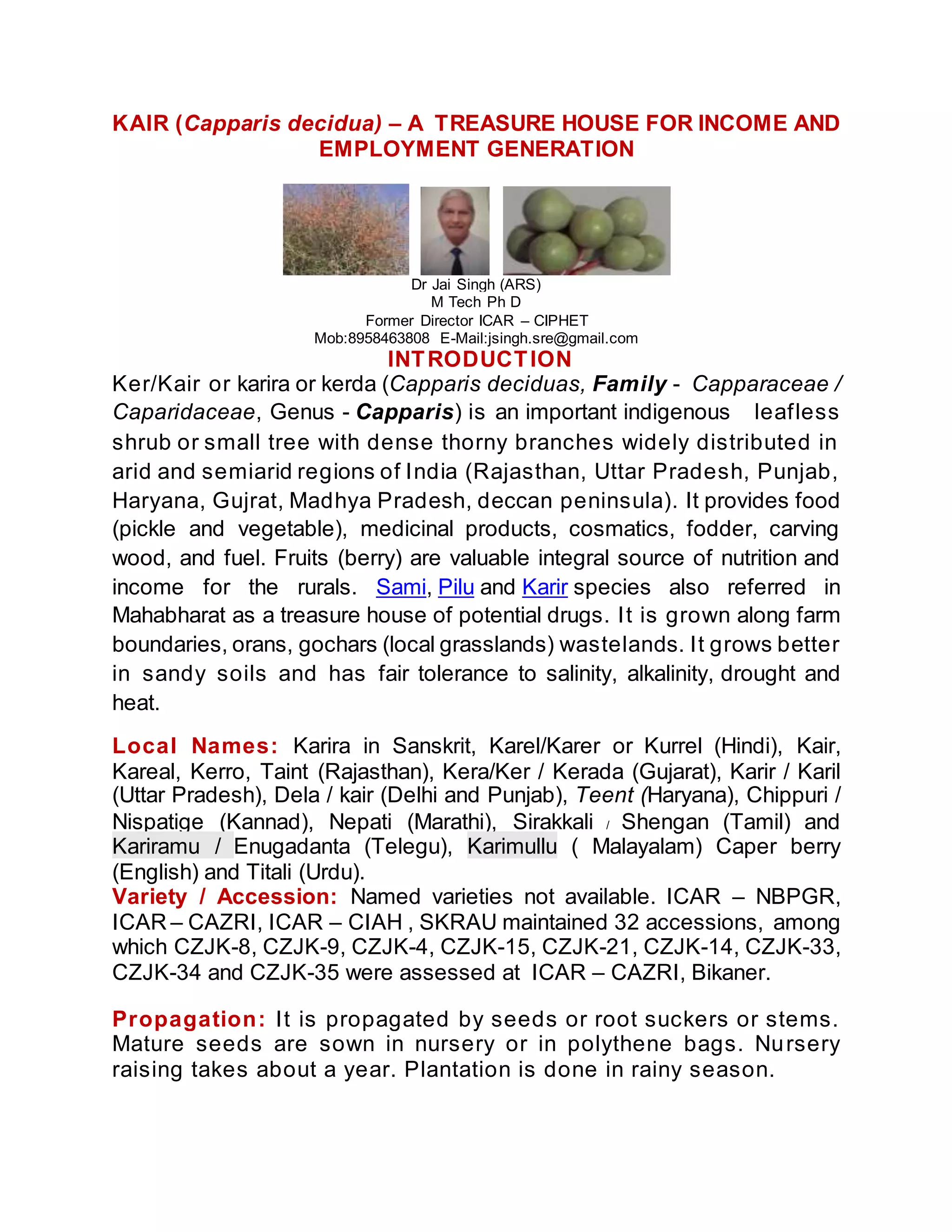 KAIR (Capparis decidua) – A TREASURE HOUSE FOR INCOME AND EMPLOYMENT ...