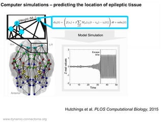 A tutorial in Connectome Analysis (0) - Marcus Kaiser | PDF | Brain and Nervous System Disorders ...