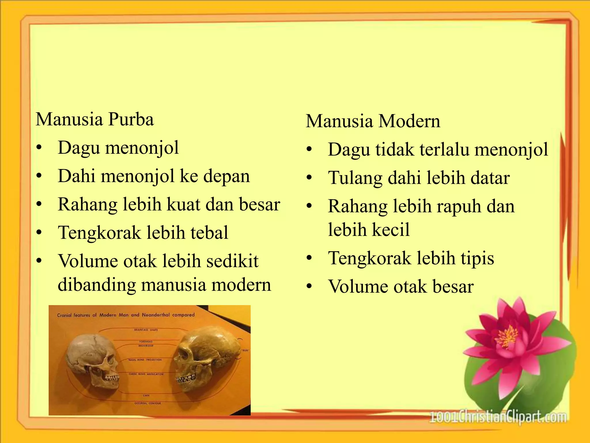 Kaitan antara manusia purba dan manusia modern | PPTX
