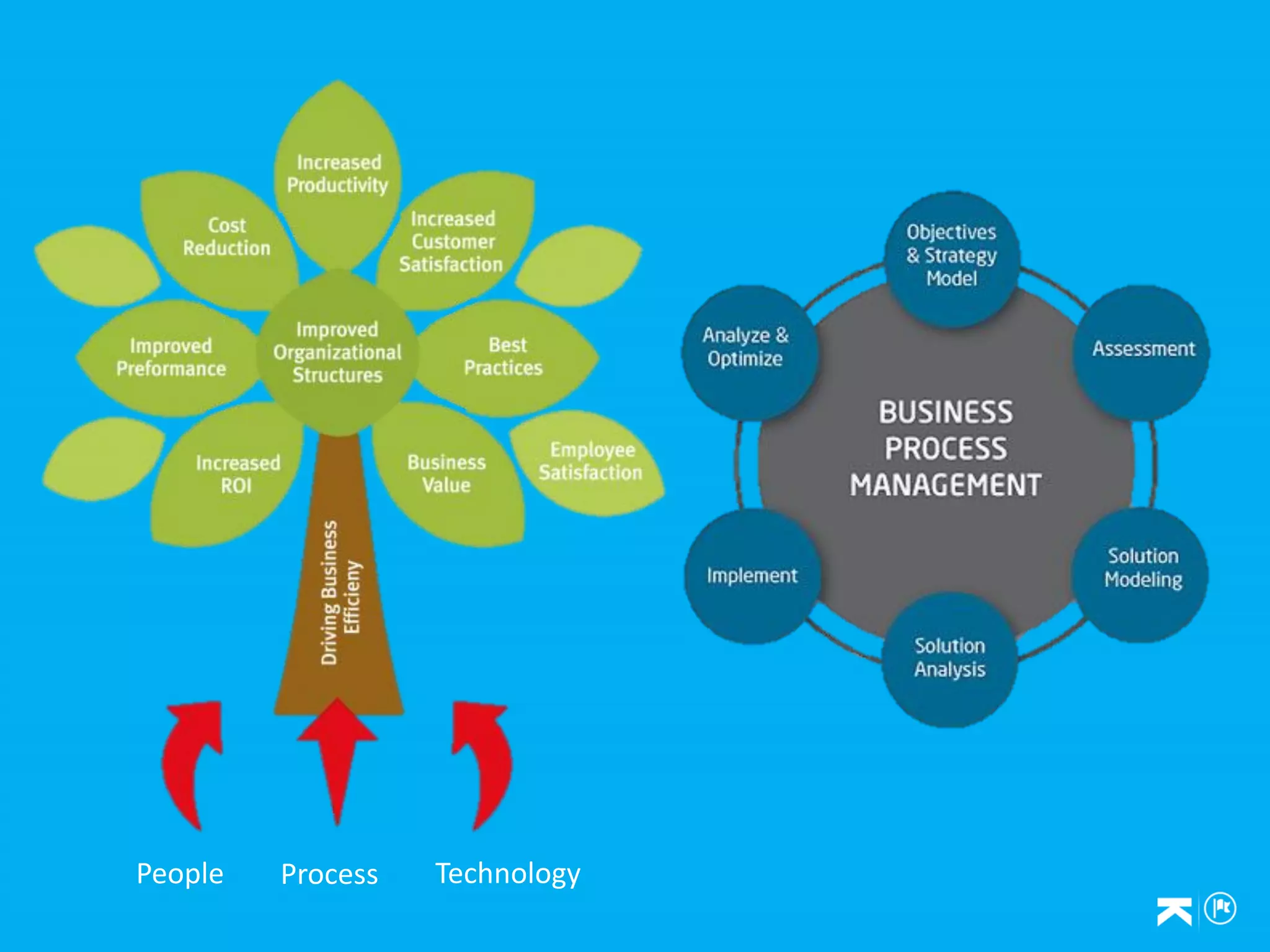 Kaizen Egypt | Introduction to Business Process Management & Process ...