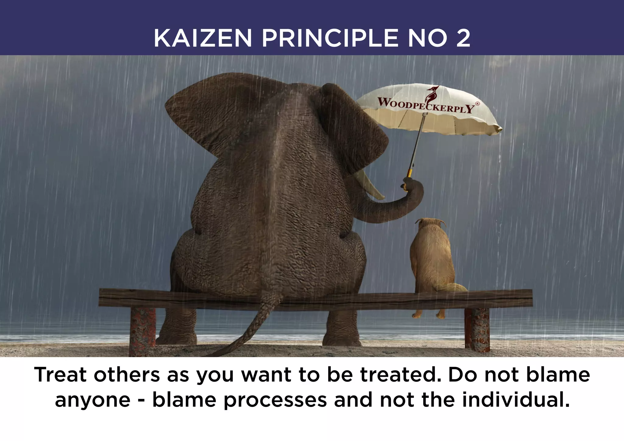 Kaizen principle | PDF