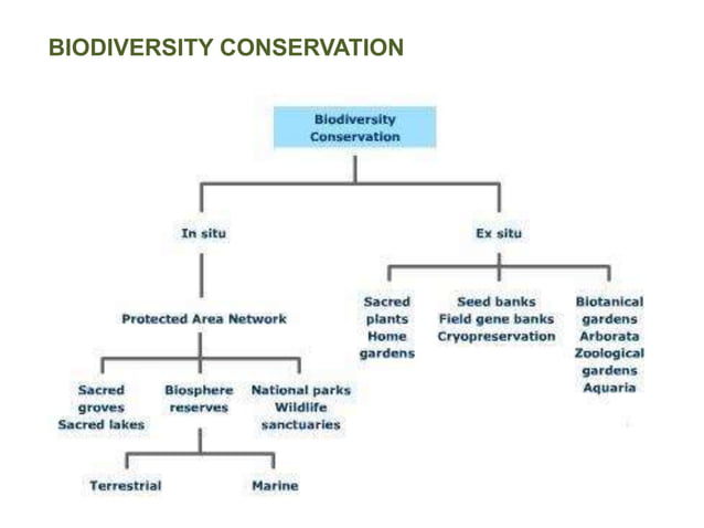 biodiversity, conservation and conventions | PPTX | Geography | Science
