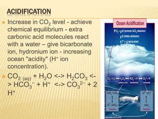 ocean acidification | PPTX