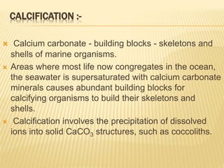 ocean acidification | PPTX