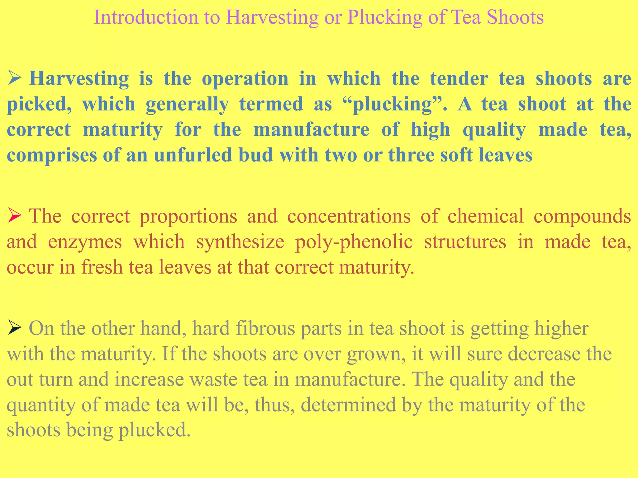 Plucking in Tea | PPTX
